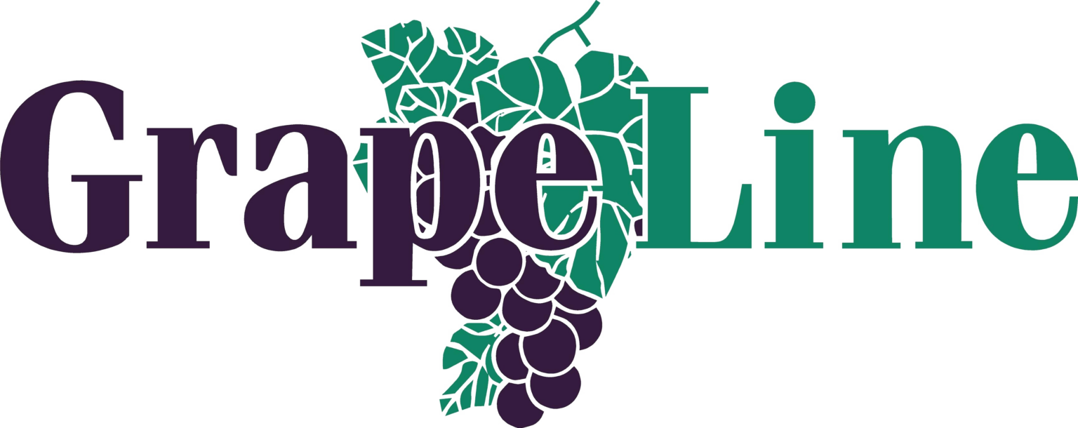 Vamos Mobility – The Vamos app puts public transit in the palm of your ...